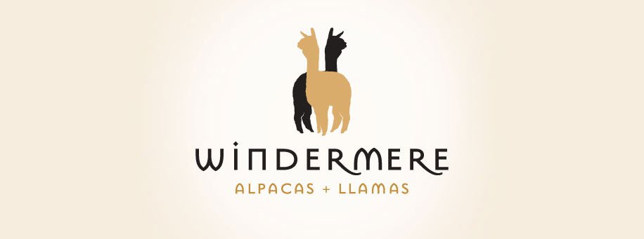 Windermere Alpacas logo design - emotive design